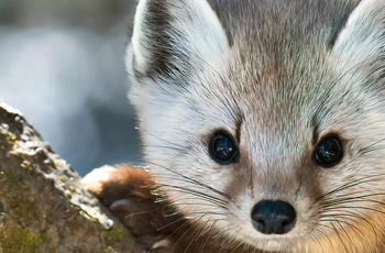 DIY Bau- und Heimwerkermarkt: DIY Bau- und Heimwerkermarkt
