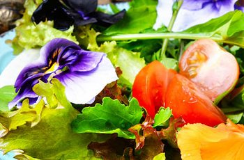 DIY Bau- und Heimwerkermarkt: DIY Bau- und Heimwerkermarkt