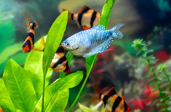 DIY Bau- und Heimwerkermarkt: DIY Bau- und Heimwerkermarkt