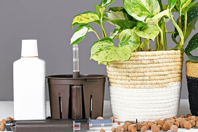 Hydrokultur – Umstellung von Erd- auf Hydrokultur: DIY Bau- und ...