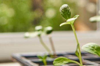 DIY Bau- und Heimwerkermarkt: DIY Bau- und Heimwerkermarkt